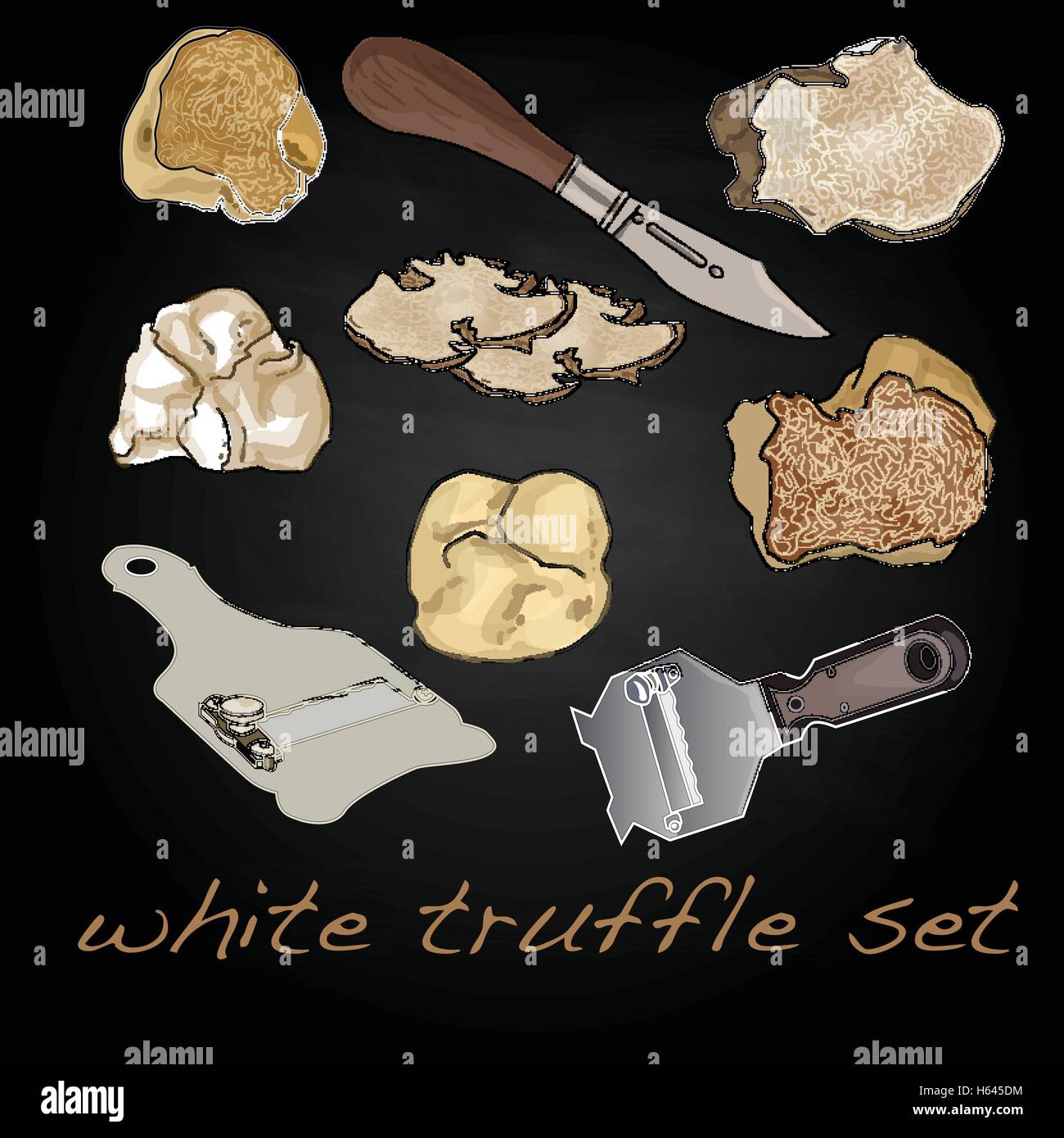 truffle vector illustration set Stock Vector Image & Art - Alamy