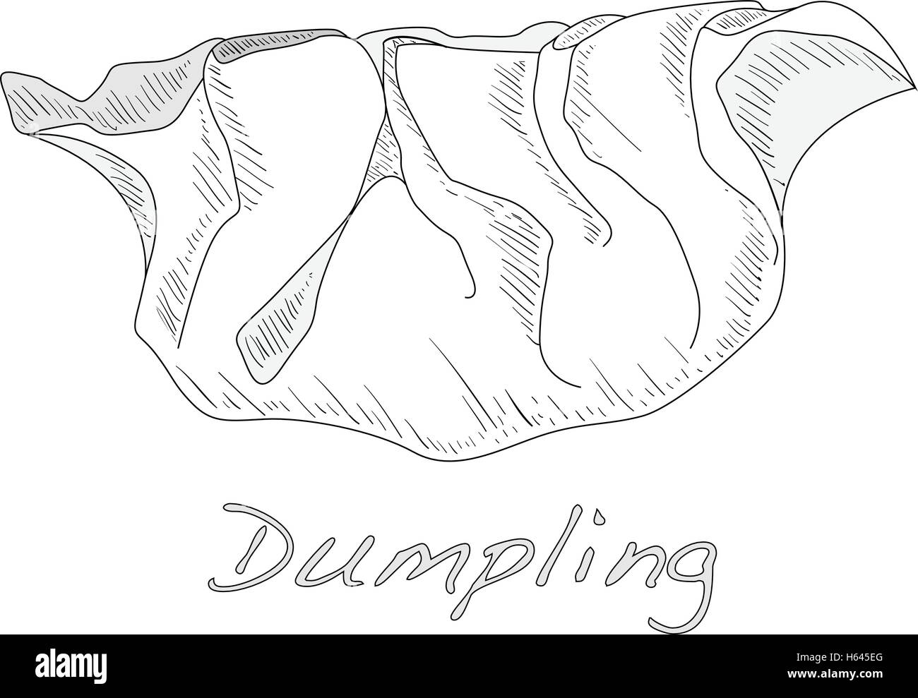 Dumpling vector illustration. Isolated Stock Vector Image & Art - Alamy
