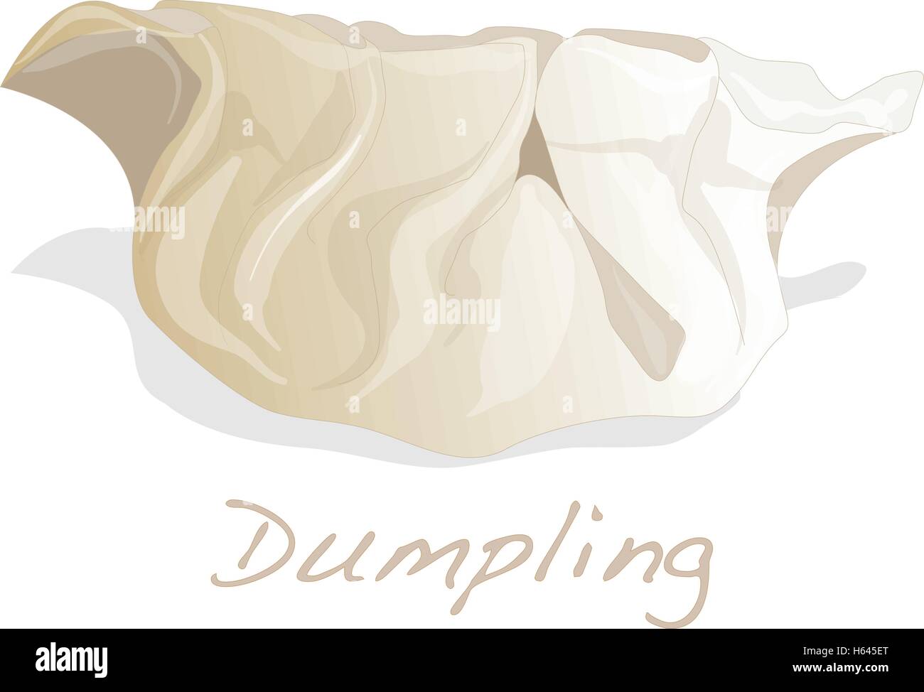 Dumpling vector illustration. Isolated Stock Vector Image & Art - Alamy