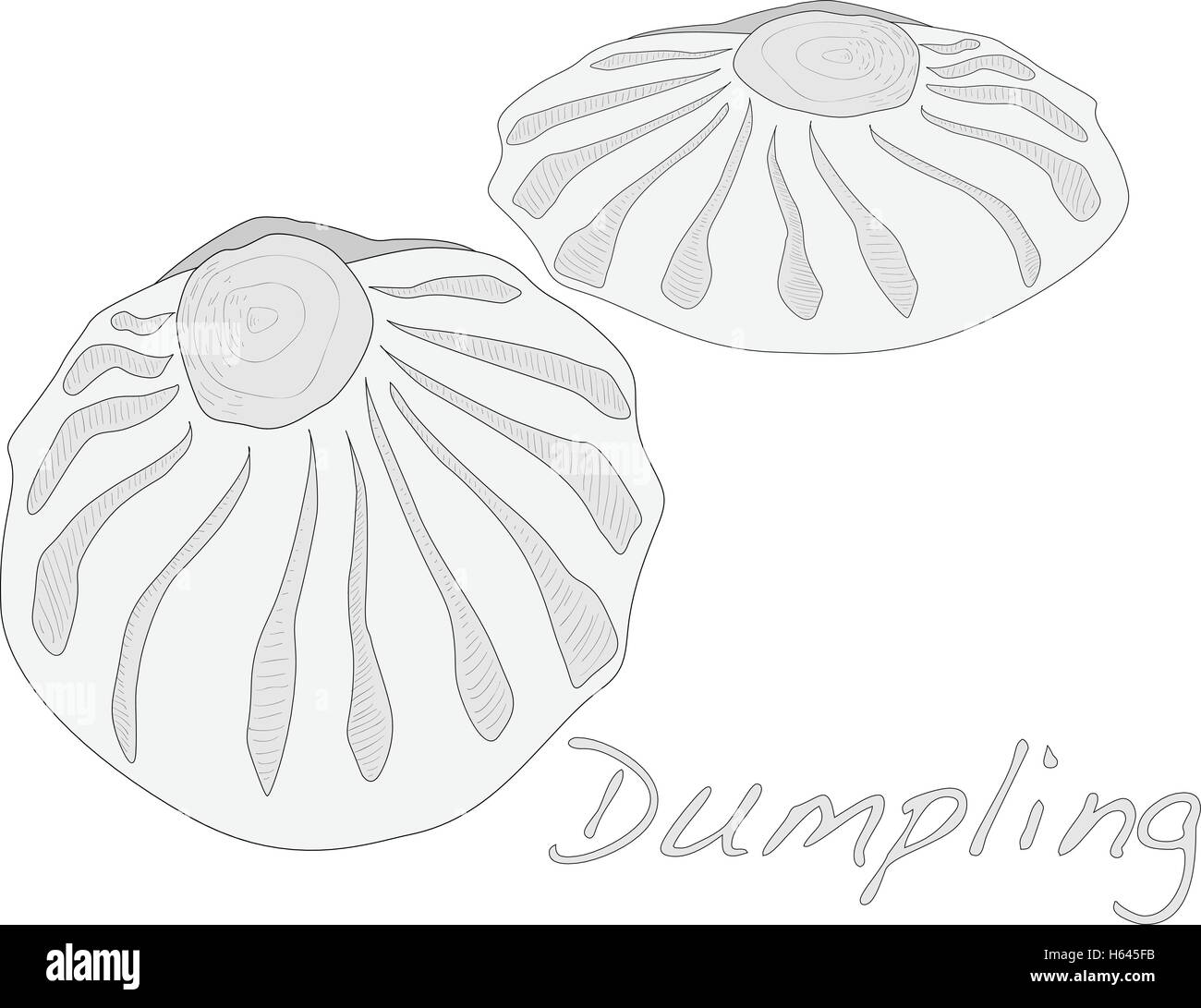 Dumpling vector illustration. Isolated Stock Vector Image & Art - Alamy