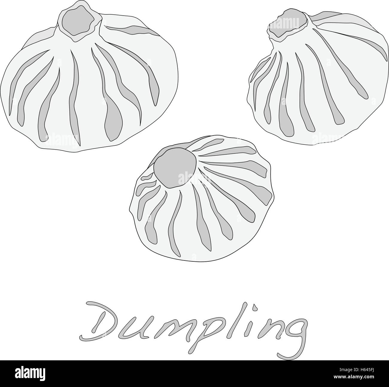 Dumpling vector illustration. Isolated Stock Vector Image & Art - Alamy