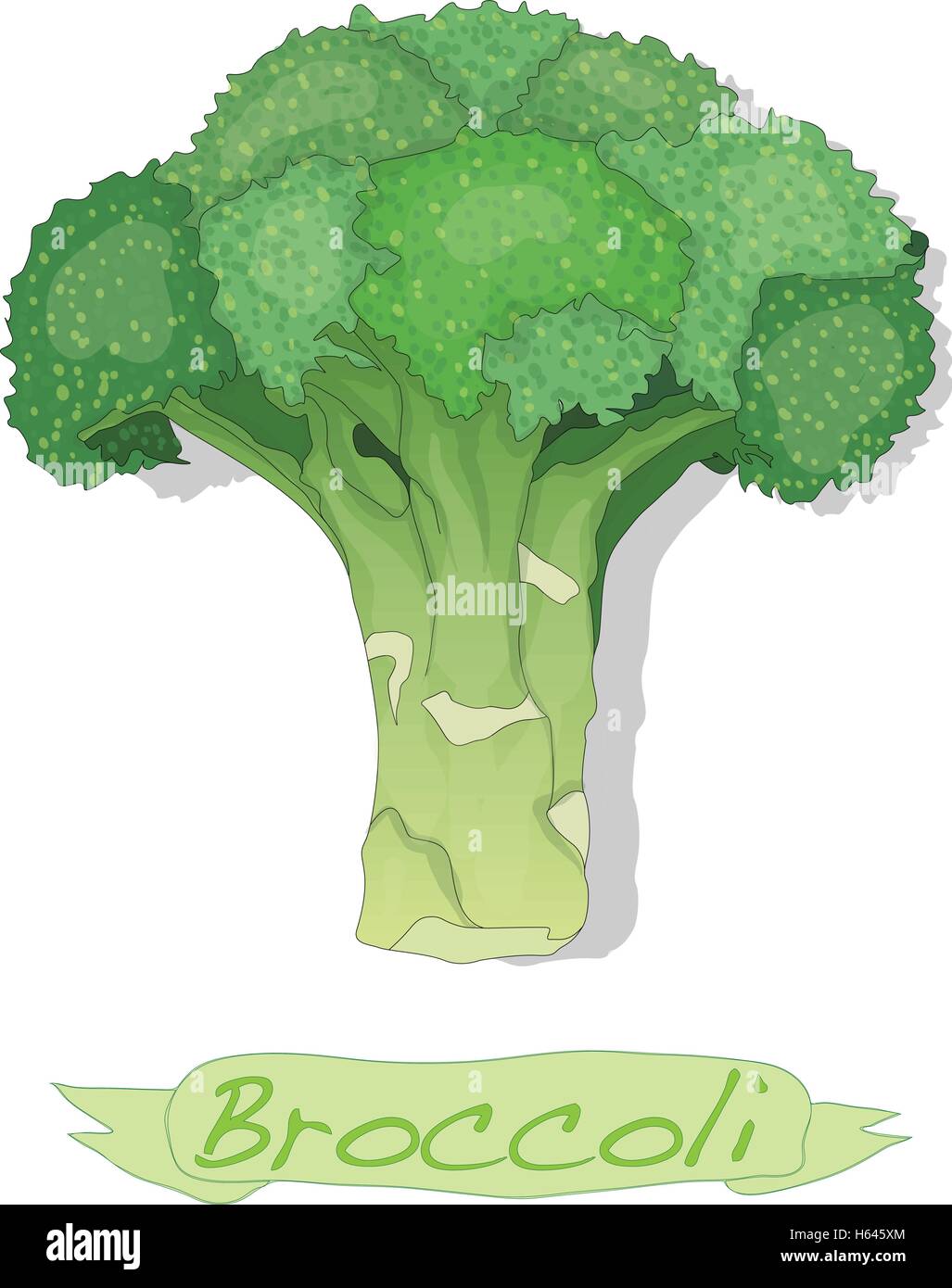 Broccoli vector isolated on white background Stock Vector Image & Art ...