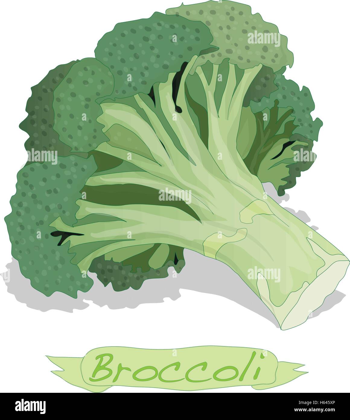 Broccoli vector isolated on white background Stock Vector Image & Art ...