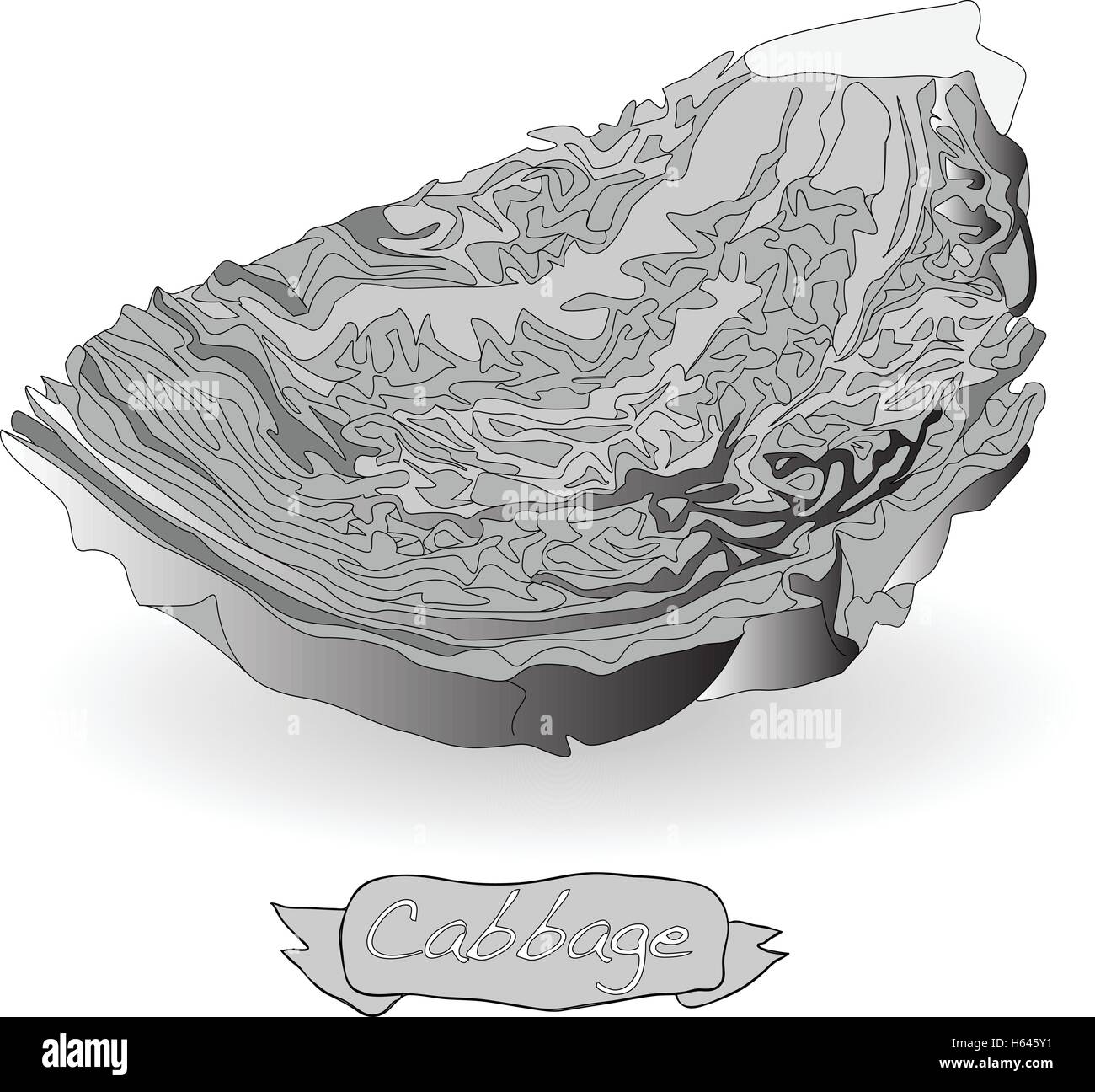 Kale cabbage salad on Stock Vector Images - Alamy