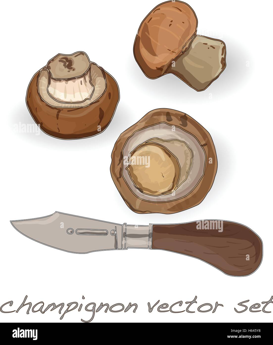 champignon vector set illustration on white background Stock Vector ...