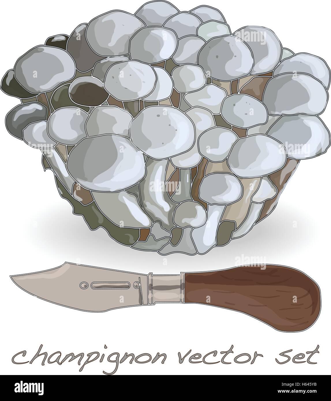 champignon vector set illustration on white background Stock Vector ...