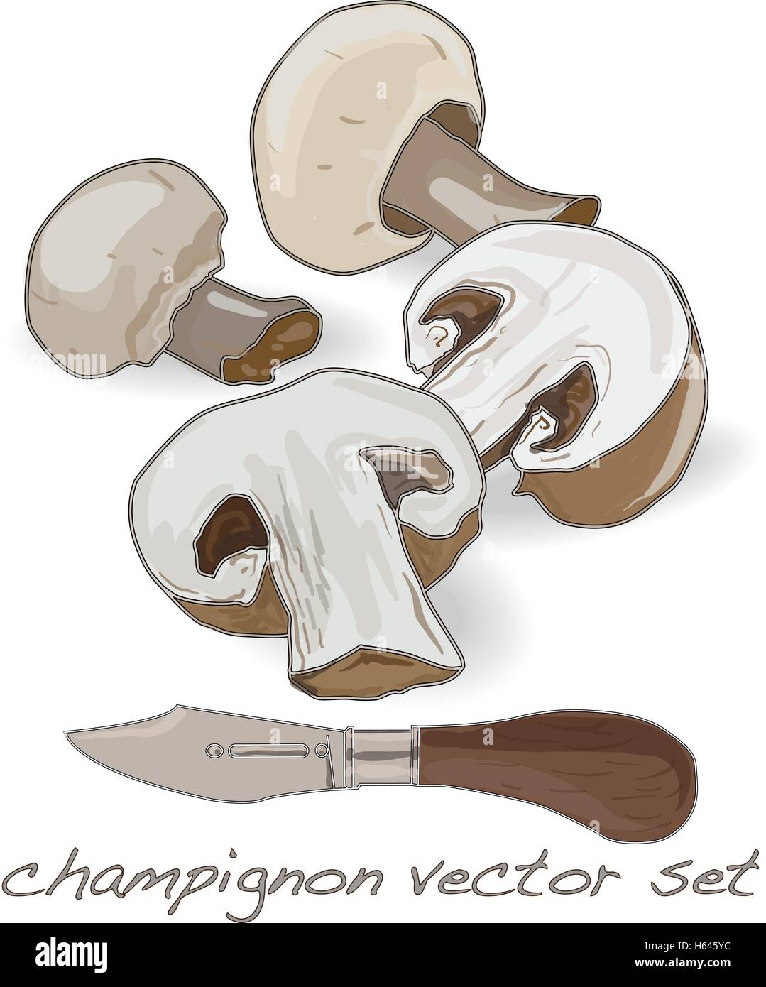 champignon vector set illustration on white background Stock Vector ...