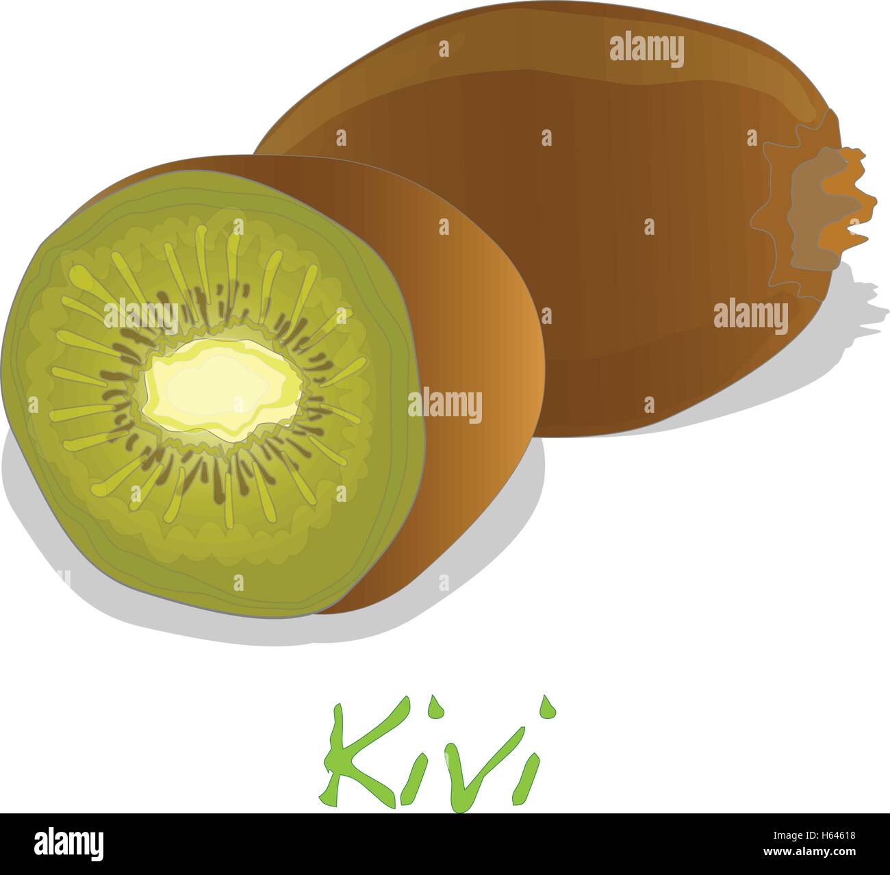 Kivi Stock Vector Images - Alamy