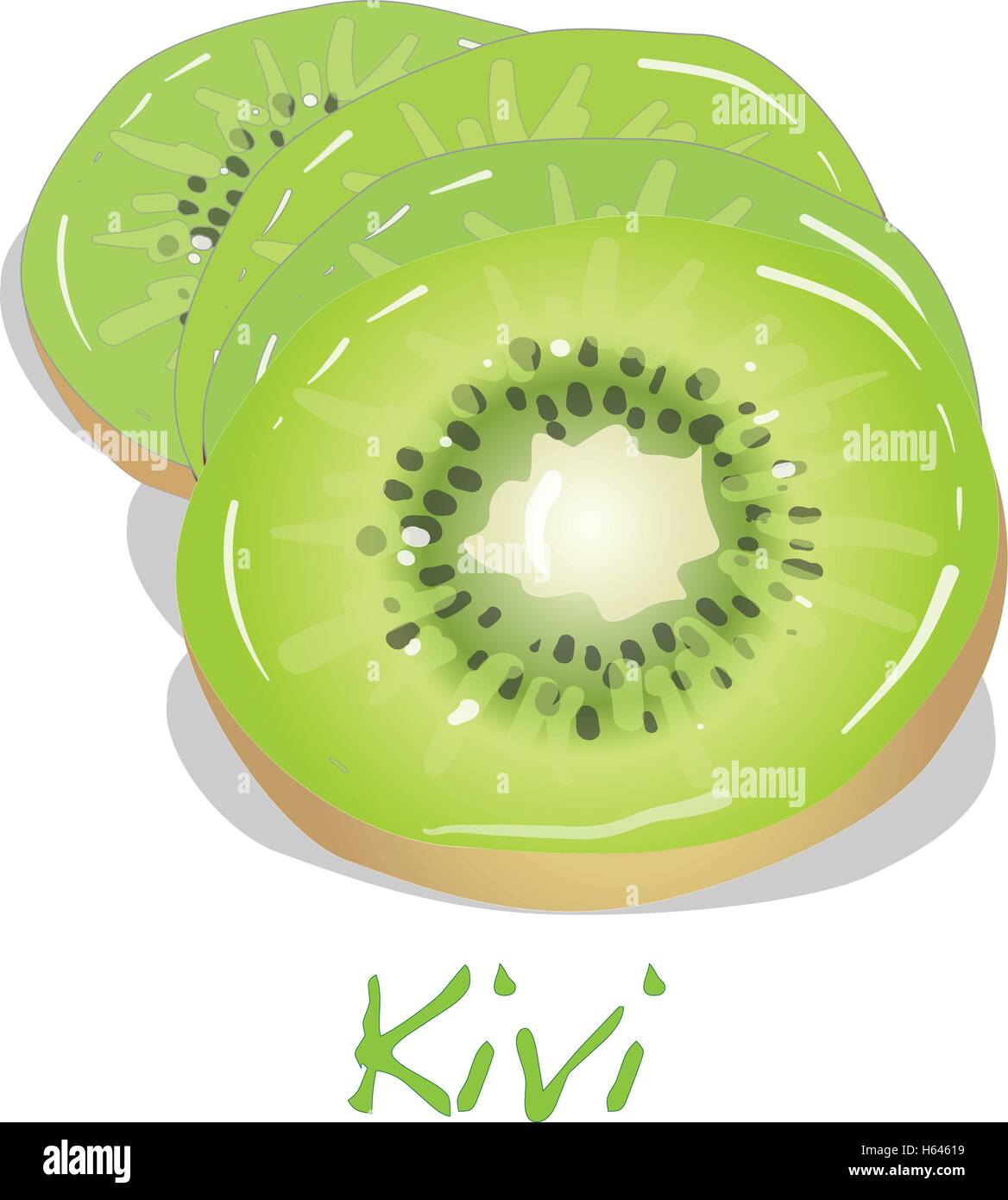 Kivi vector vectors hi-res stock photography and images - Alamy