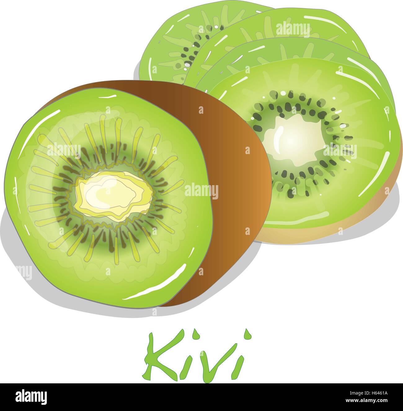 Kivi vector illustration isolated on white Stock Vector Image & Art - Alamy
