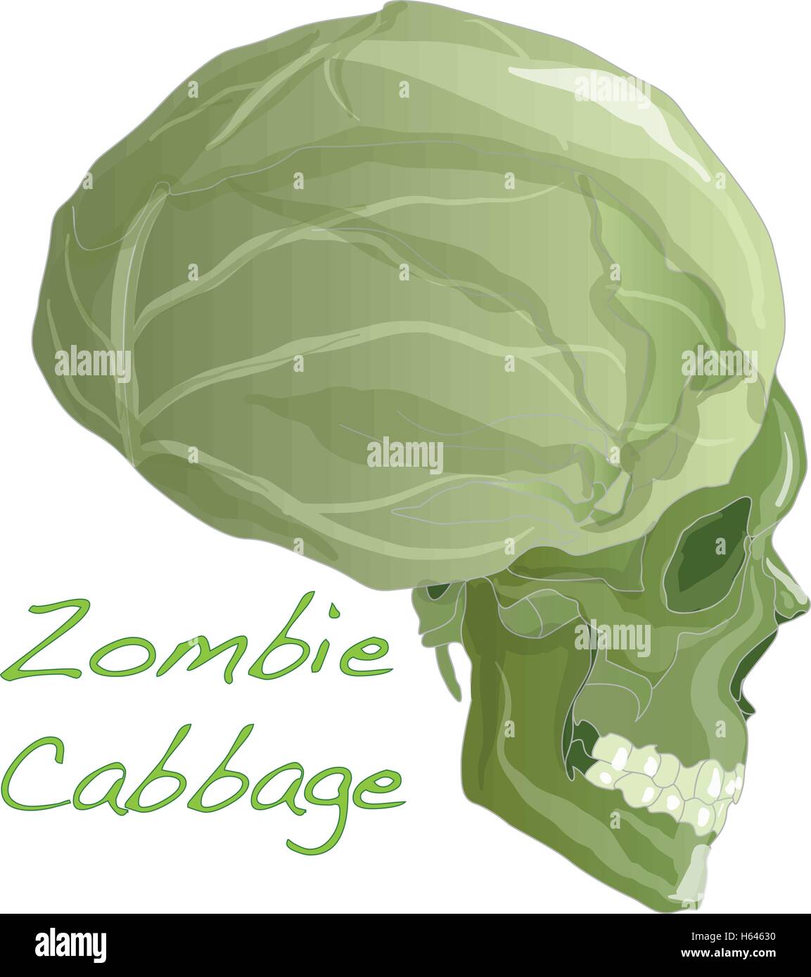 Cabbage head man Stock Vector Images - Alamy