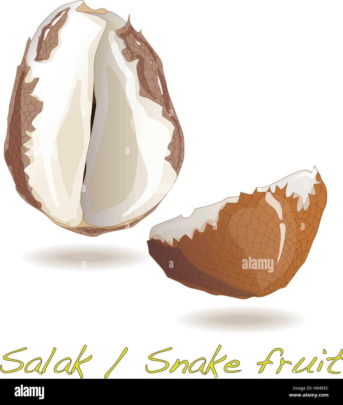 Snake fruit hi-res stock photography and images - Alamy