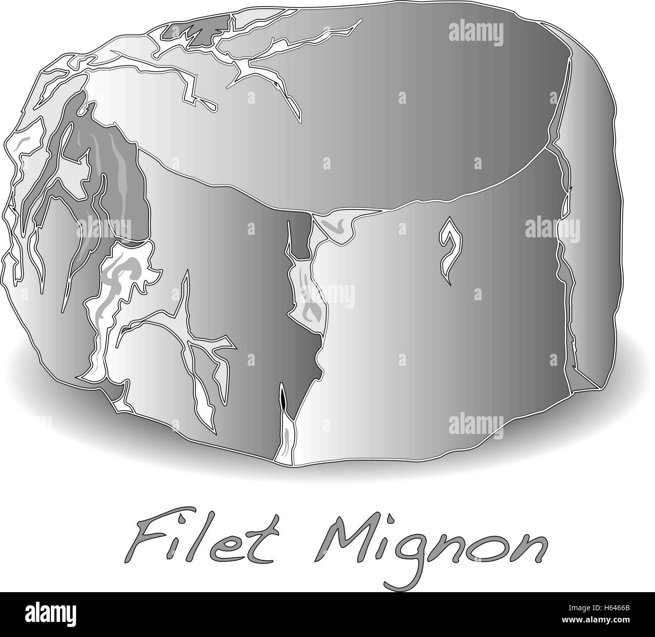 Filet mignon, ready for cooking, vector isolated on white background ...