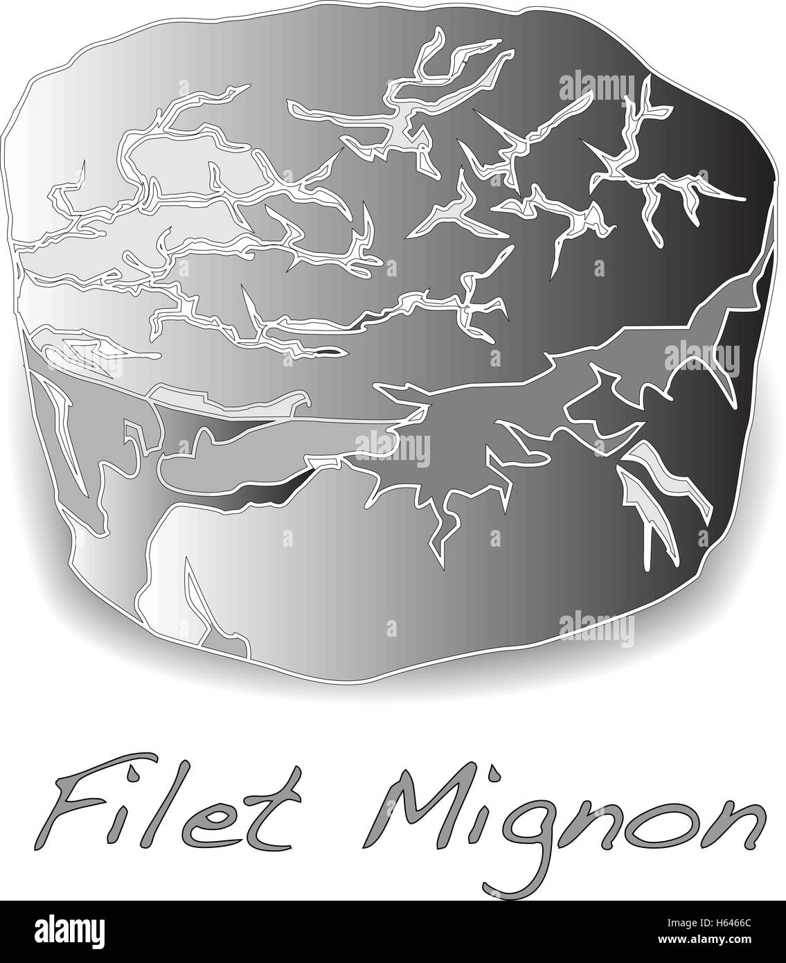 Filet mignon, ready for cooking, vector isolated on white background ...