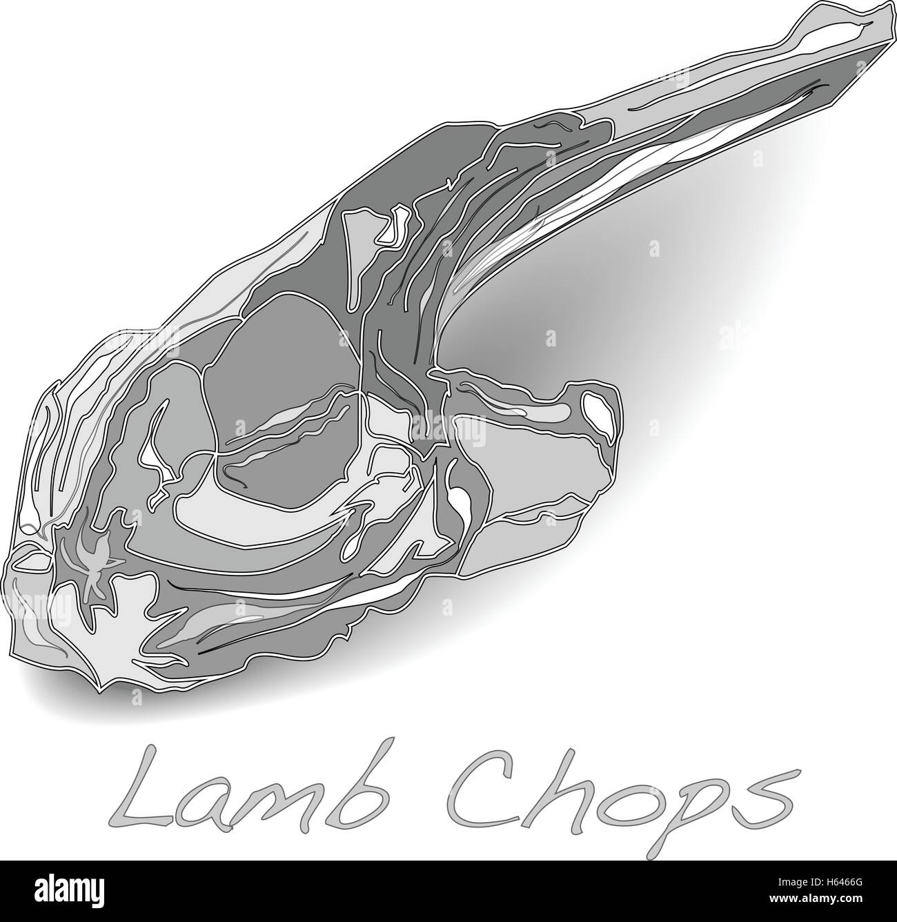Raw lamb chops vector isolated Stock Vector Image & Art - Alamy