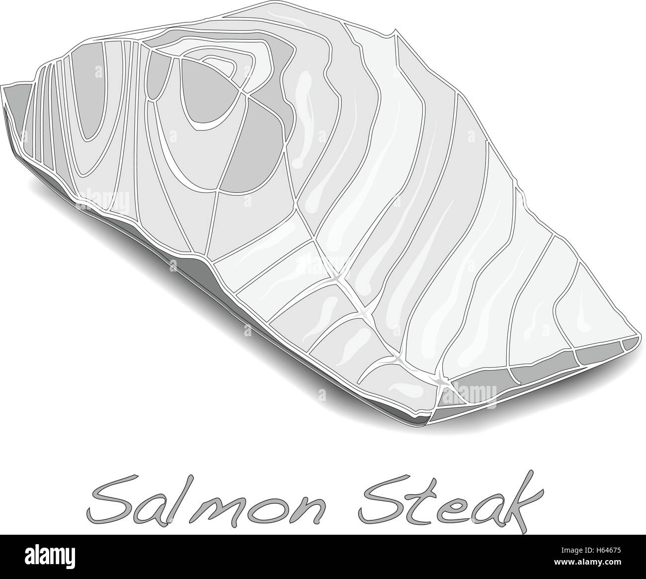 Fresh Raw Salmon Red Fish Steak isolated vector Stock Vector Image ...
