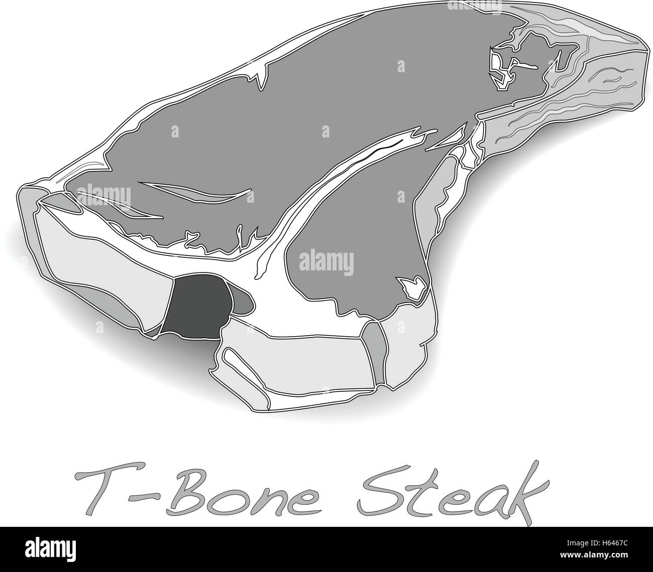 raw T-bone vector on white background isolated Stock Vector Image & Art ...