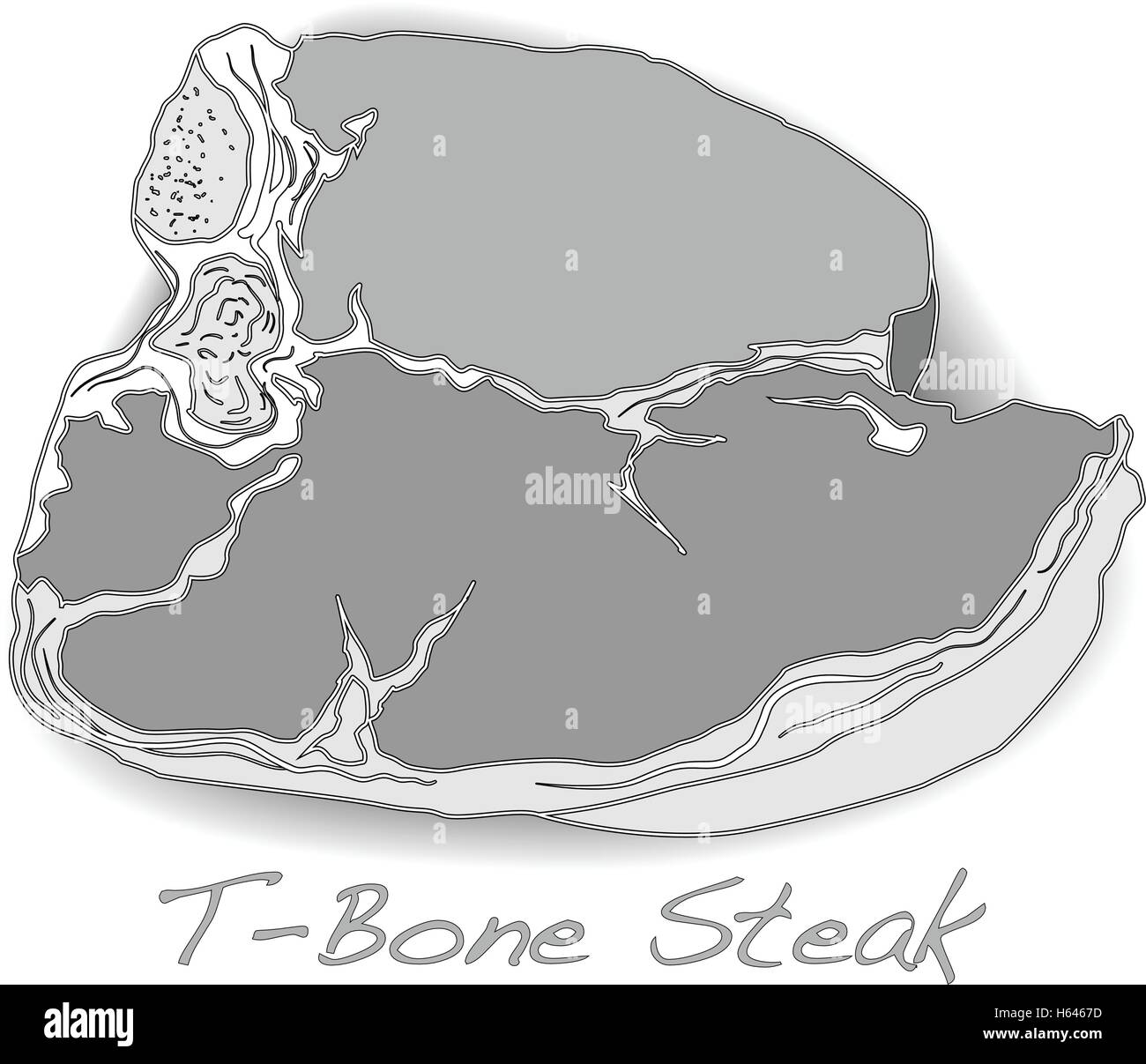 raw T-bone vector on white background isolated Stock Vector Image & Art ...