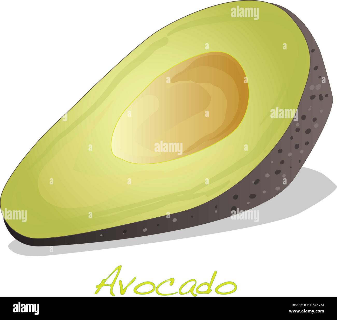 Avocado vector isolated on white Stock Vector Image & Art - Alamy
