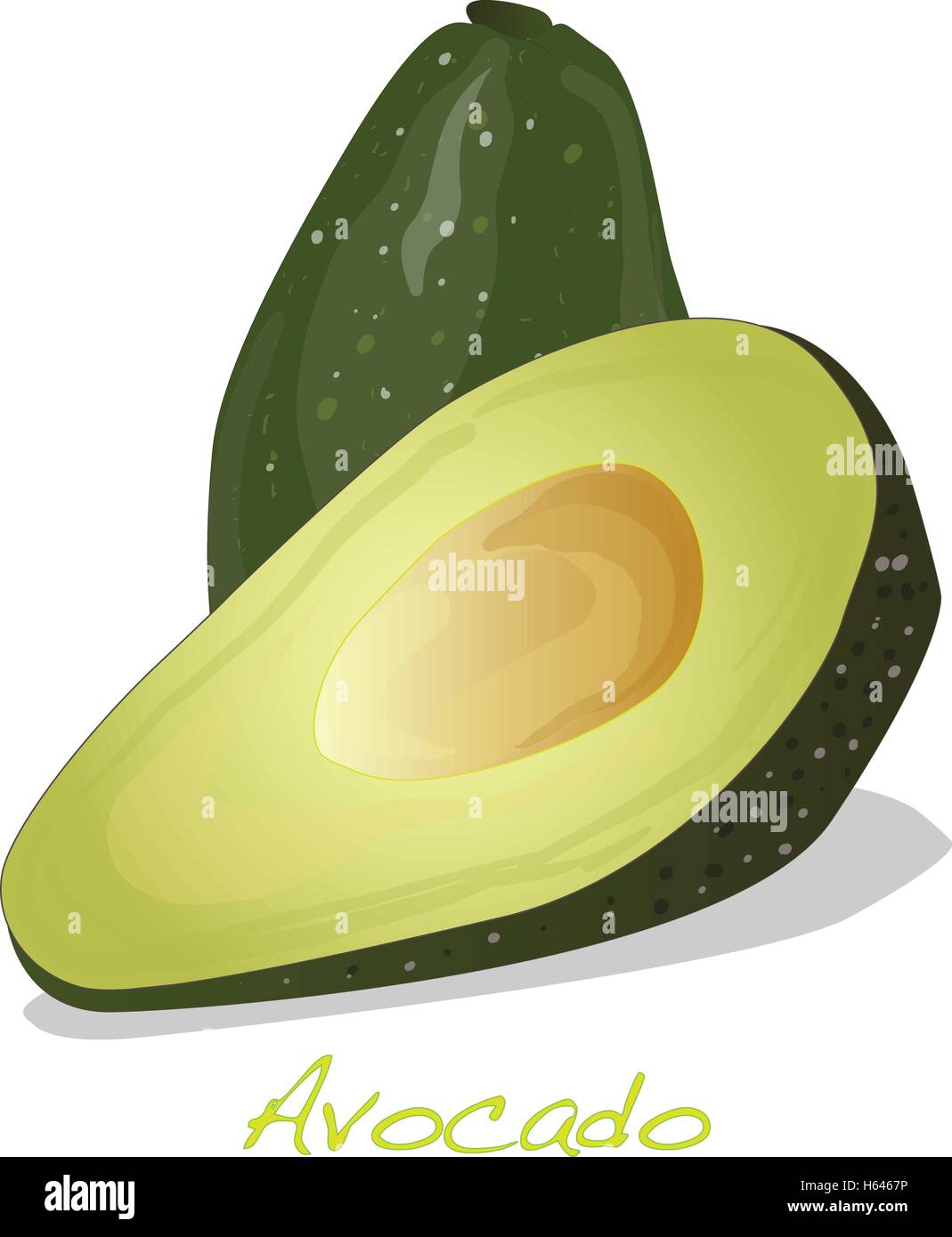 Avocado vector isolated on white Stock Vector Image & Art - Alamy