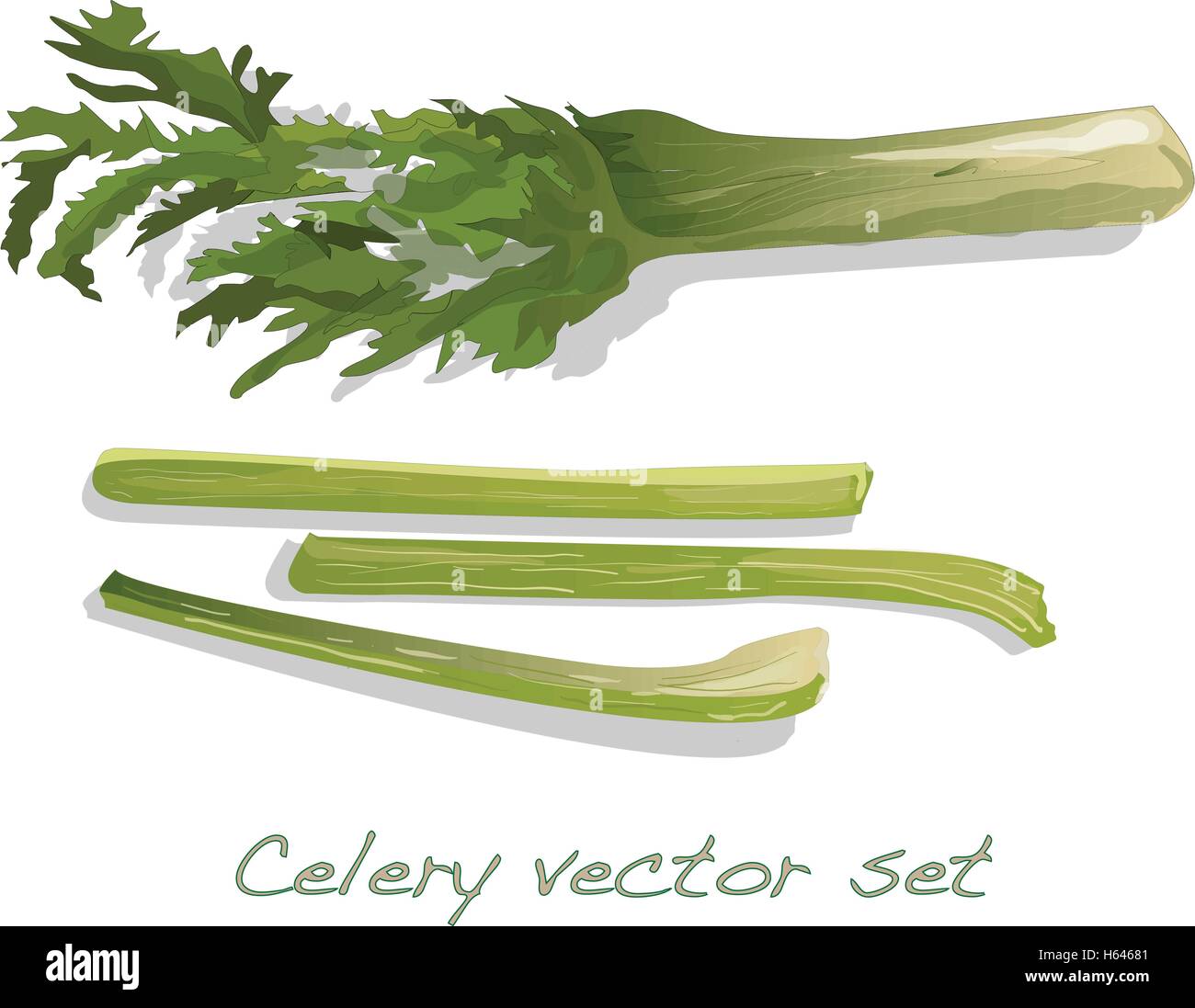 Object on white celery Stock Vector Images - Alamy
