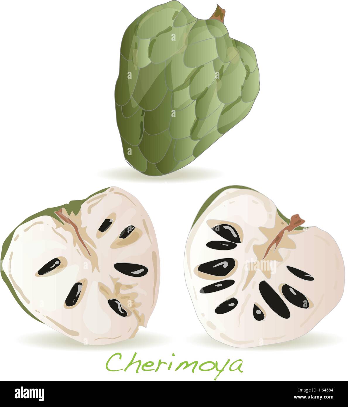 Custard apple or cherimoya vector isolated Stock Vector Image & Art - Alamy
