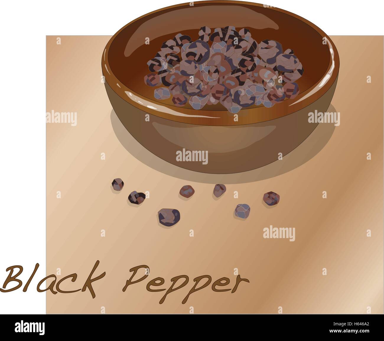 Black pepper corns vector isolated Stock Vector Image & Art - Alamy