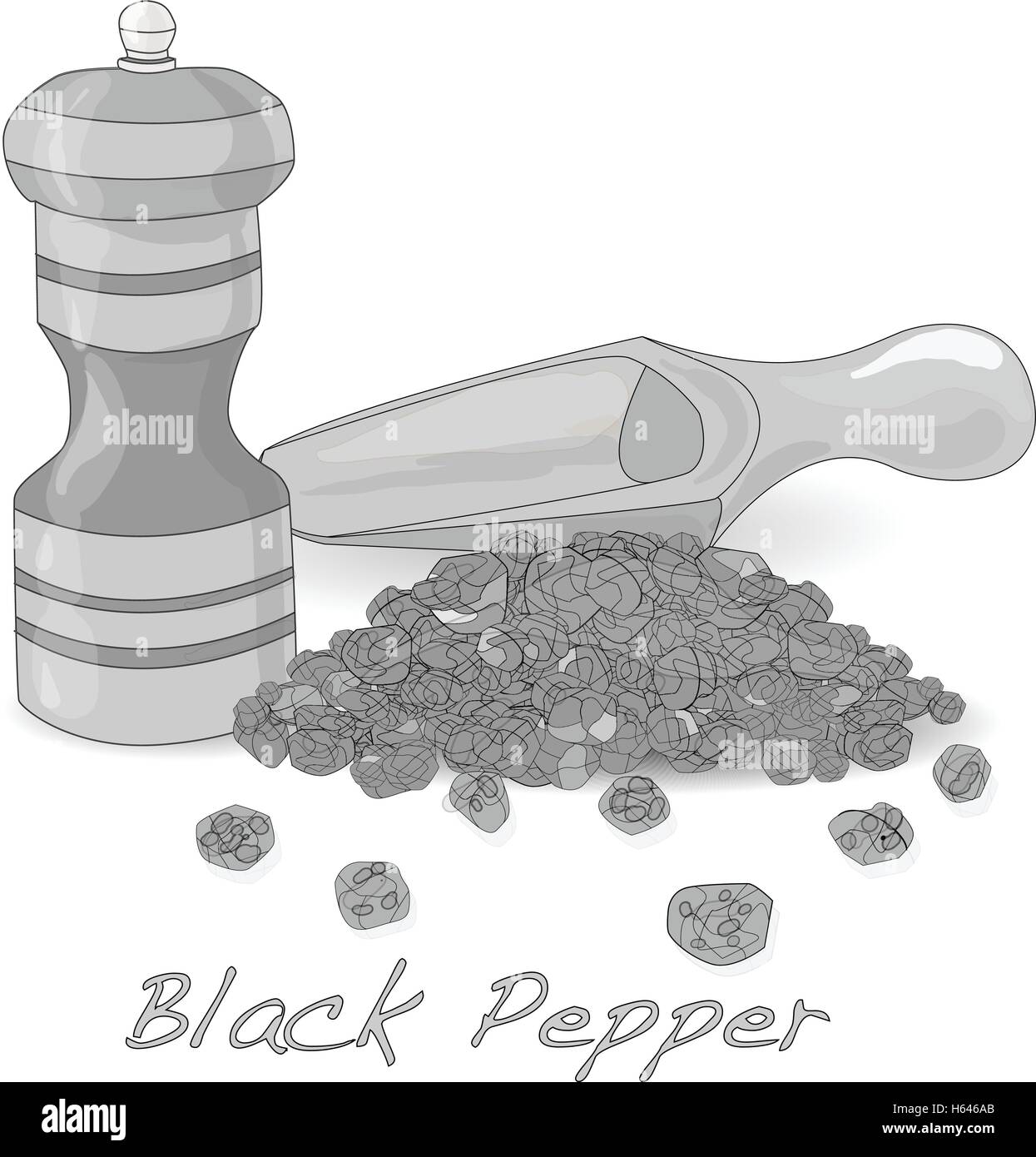 Black pepper corns vector isolated Stock Vector Image & Art - Alamy