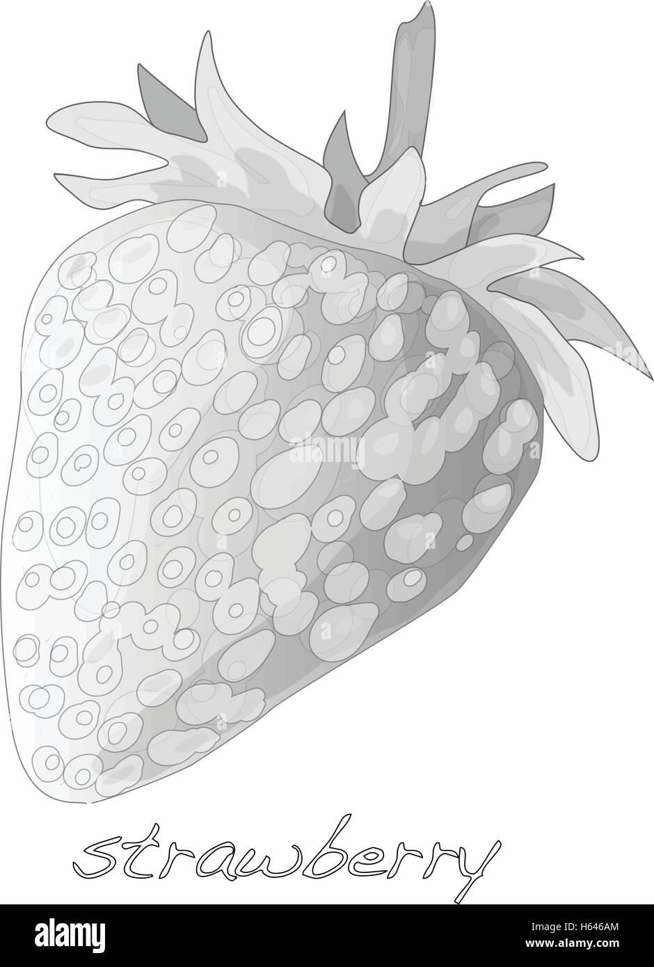 berry strawberry vector isolated on white background Stock Vector Image ...