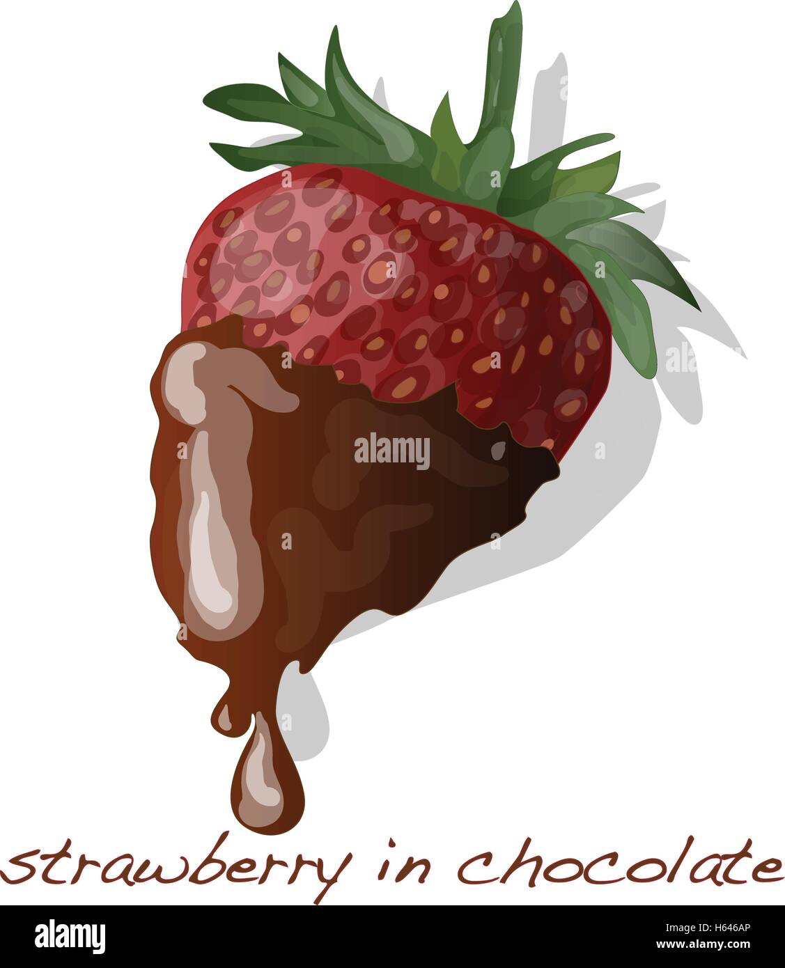 strawberry dipped in chocolate fondue vector isolated Stock Vector ...