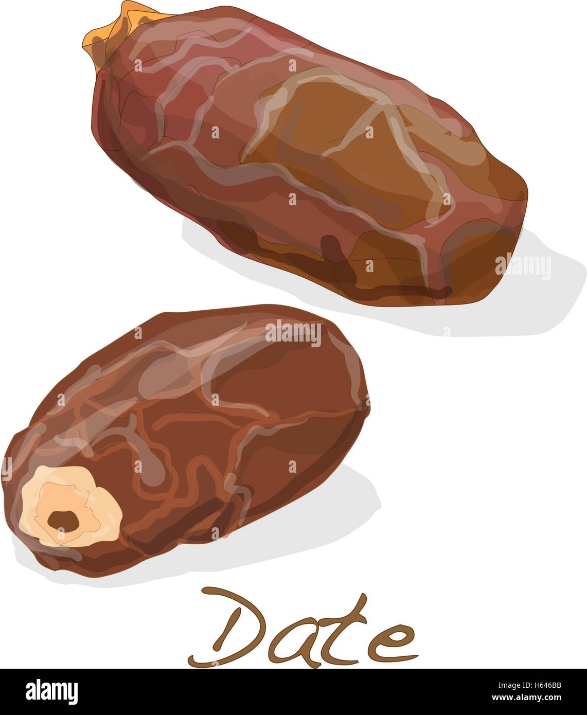 Dates isolated on white background. Vector Stock Vector Image & Art - Alamy