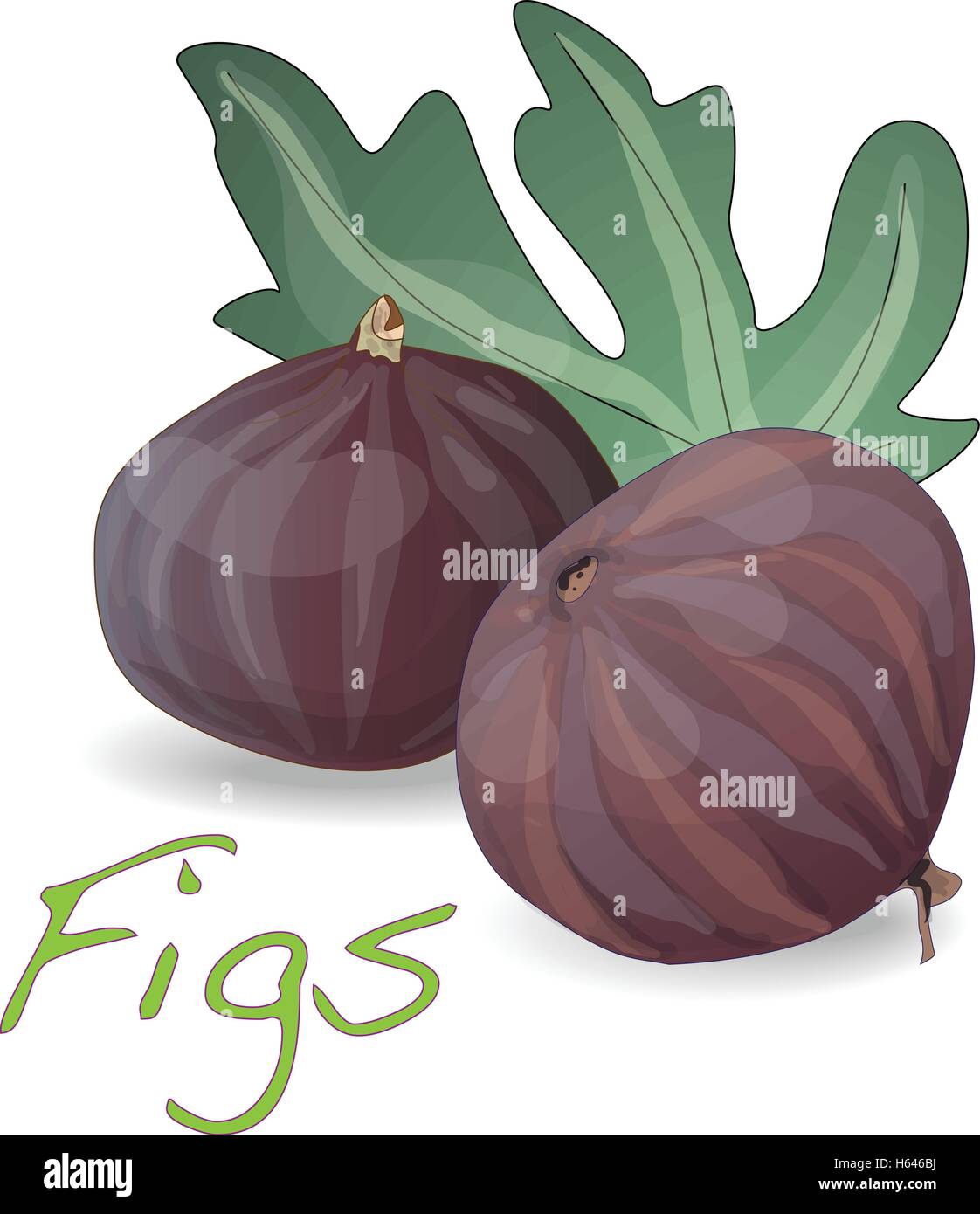 Fig Fruits Images Clipart