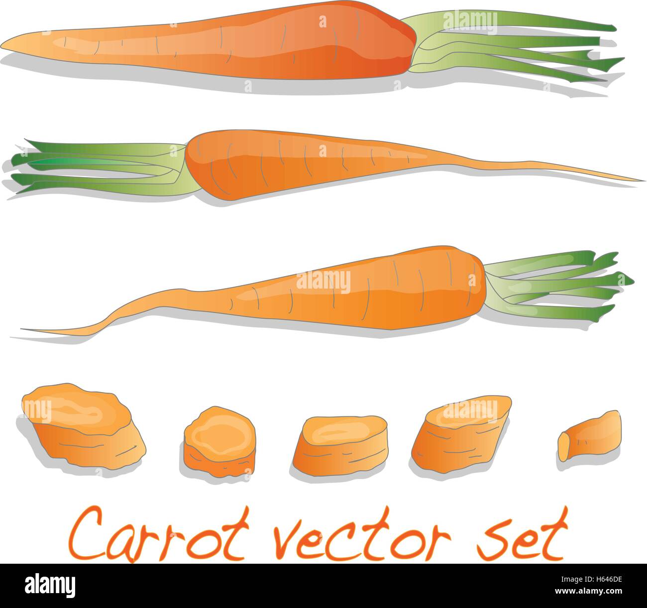Carrot vector set isolated Stock Vector Image & Art - Alamy