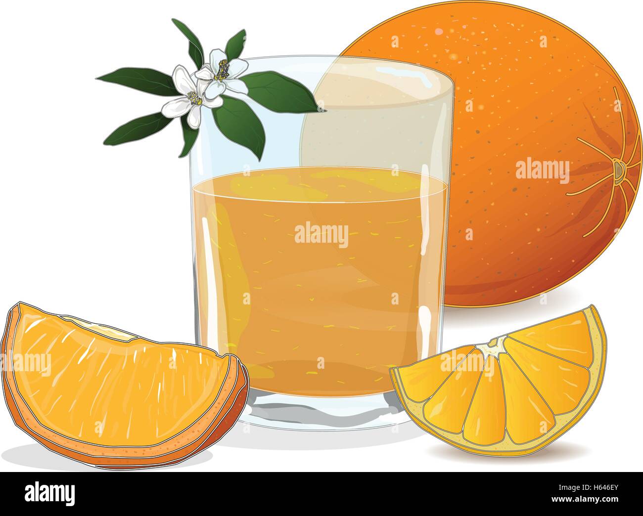 Orange juice and slices of orange isolated on white vector Stock Vector ...
