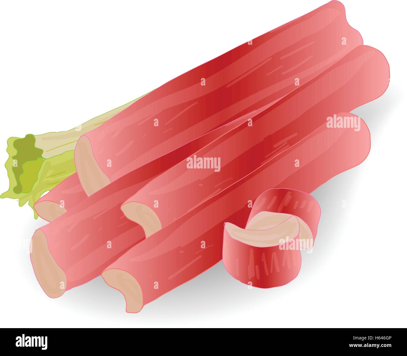 Rhubarb vector set isolated Stock Vector Image & Art - Alamy