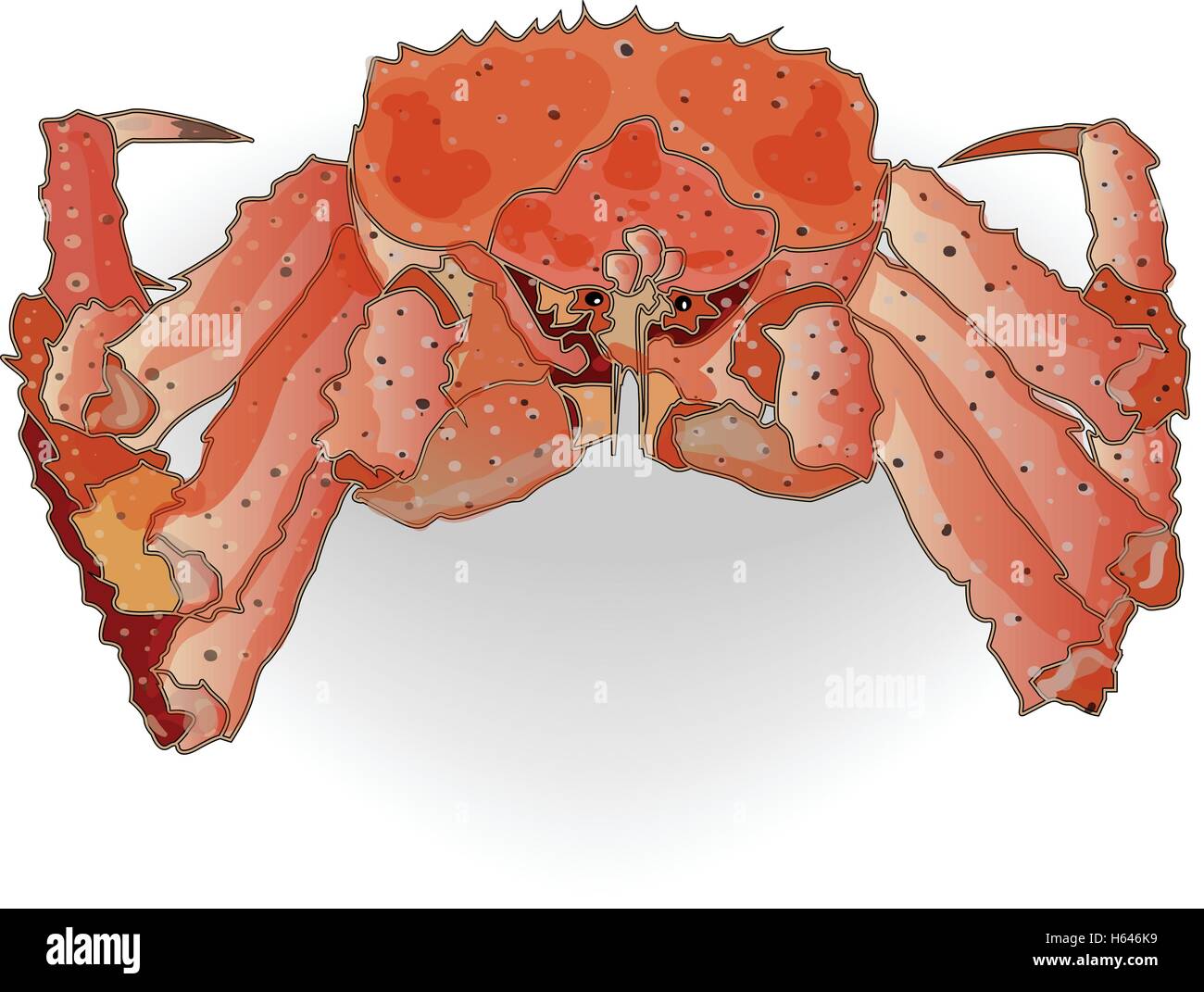 crab isolated white background Stock Vector Image & Art - Alamy