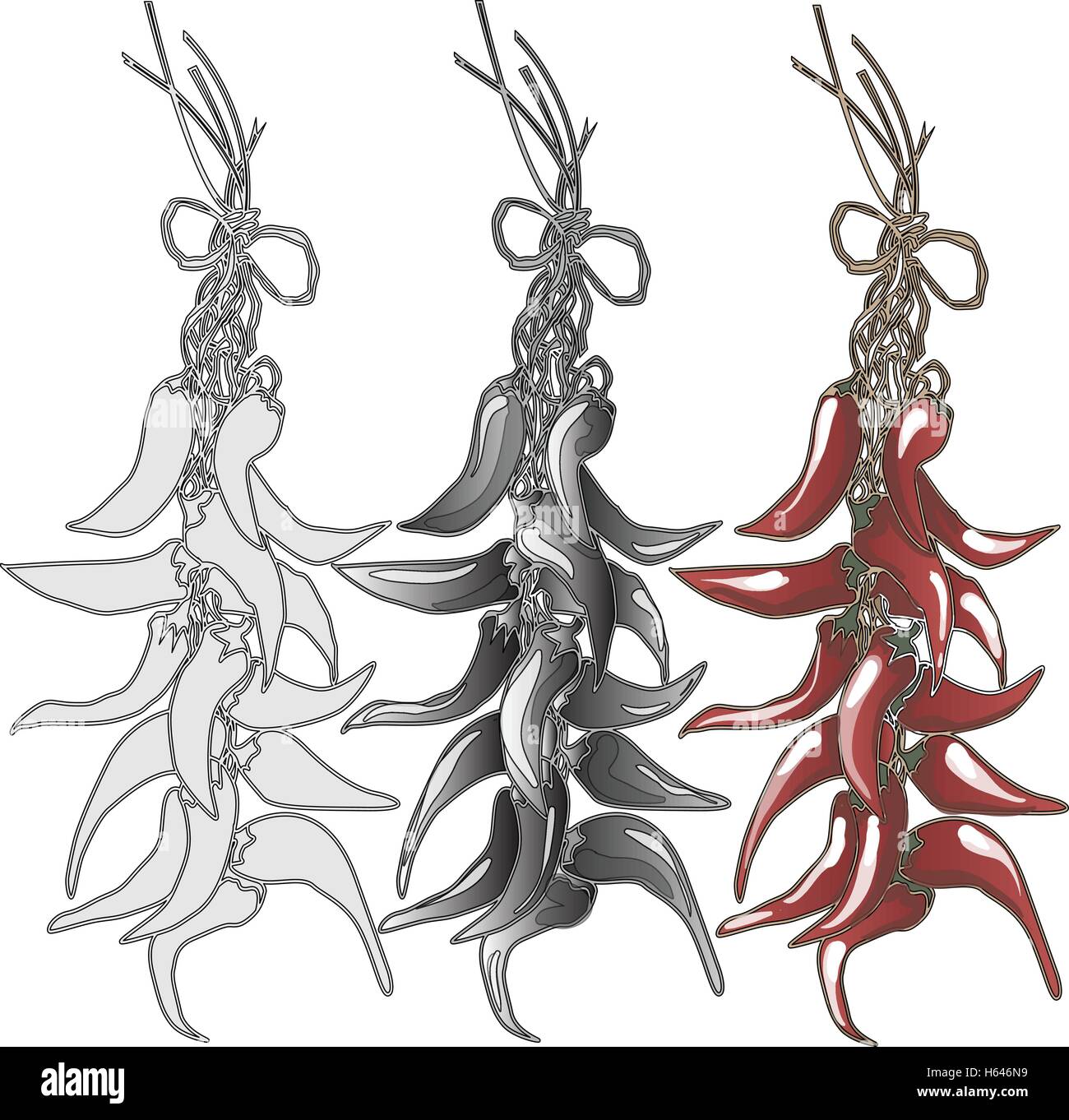 Capsicum red chili peppers Stock Vector Images - Alamy