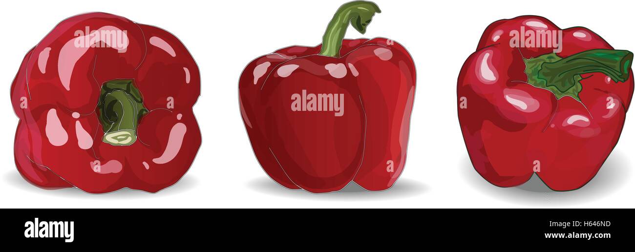 Reg to Stock Vector Images - Alamy