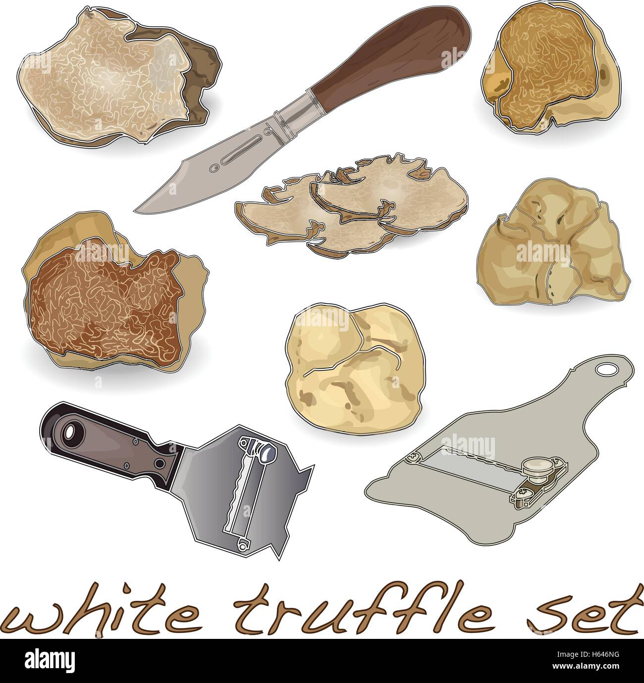 White truffle set isolated white background Stock Vector Image & Art ...