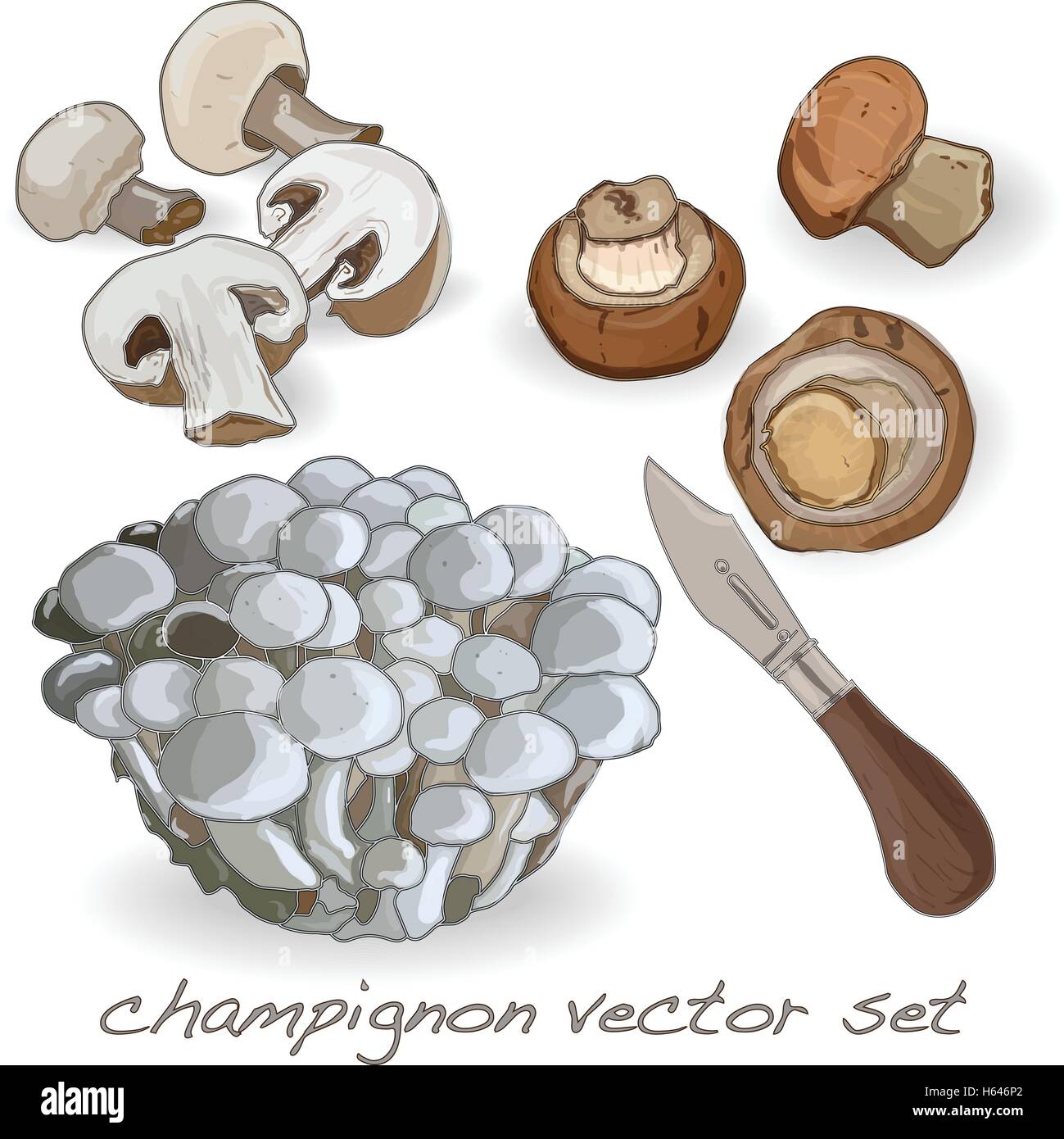 champignon set isolated Stock Vector Image & Art - Alamy