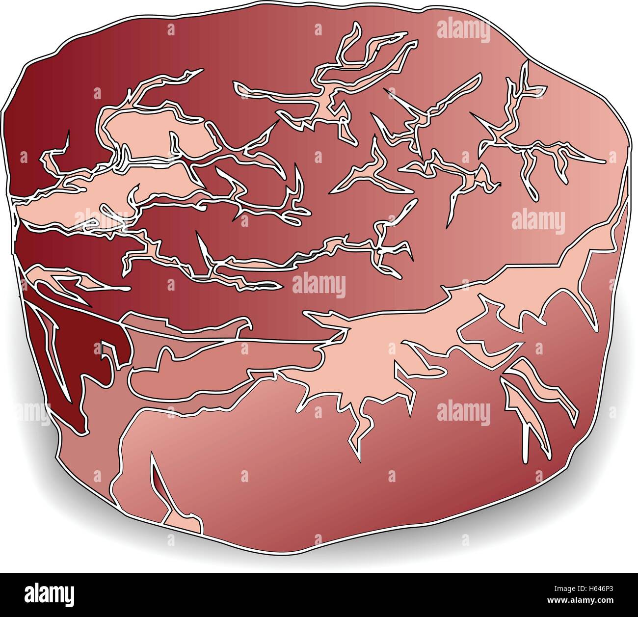 Filet Mignon isolated Stock Vector Image & Art - Alamy