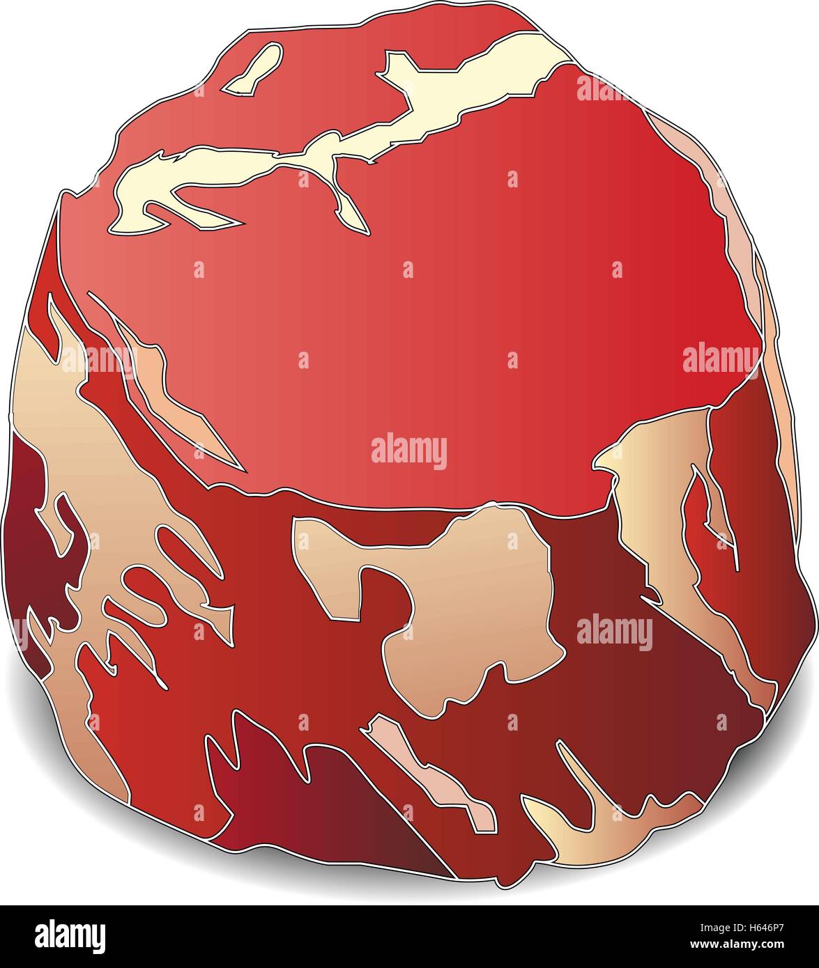 Filet Mignon isolated Stock Vector Image & Art - Alamy