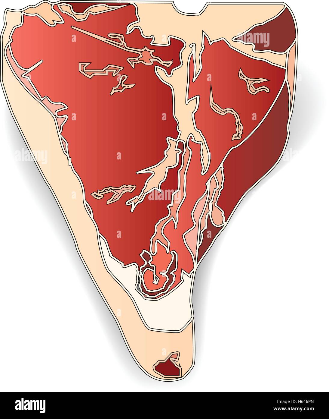 Raw T Bone Steak Stock Vector Images - Alamy