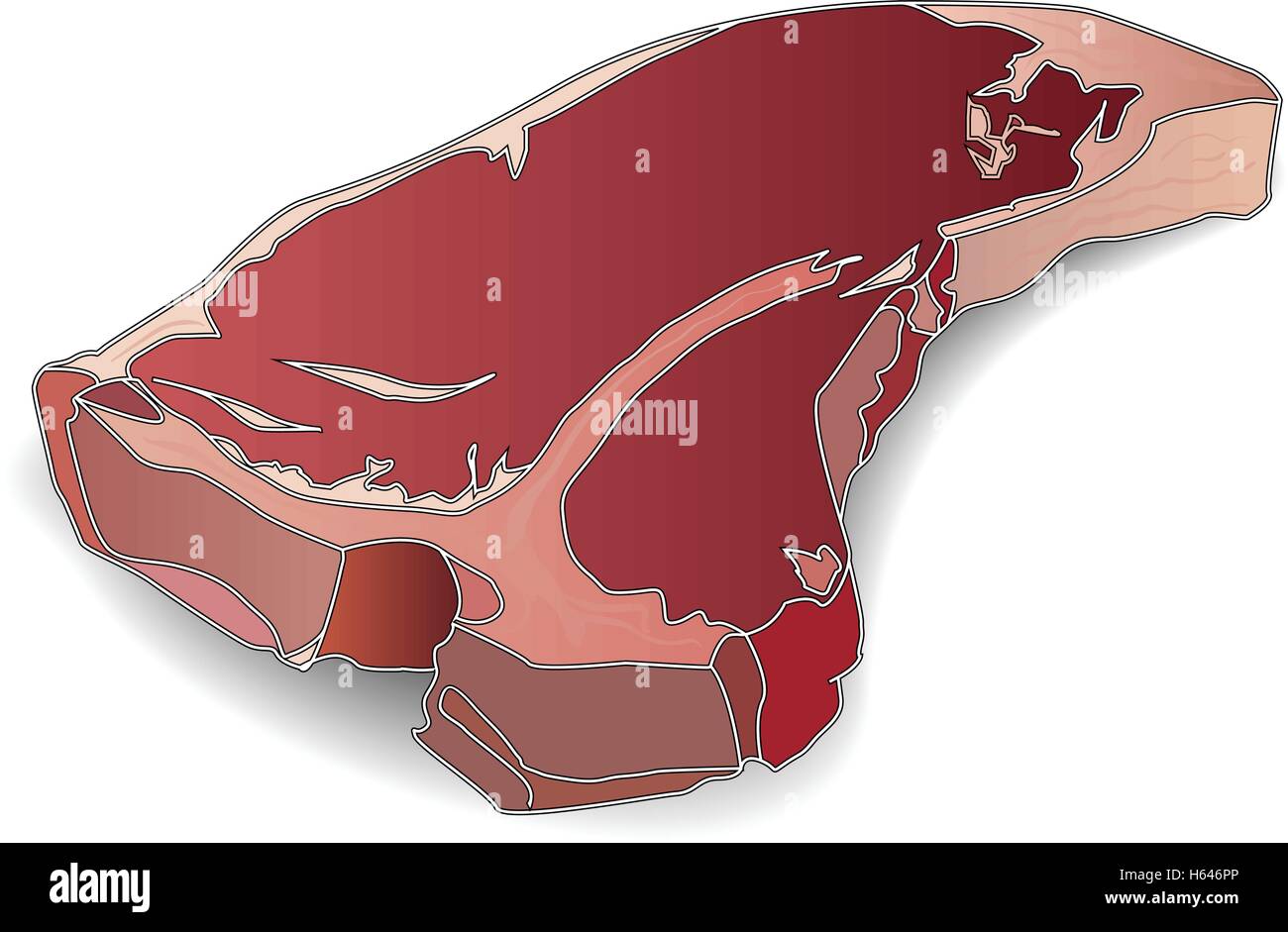 T-Bone steak isolated Stock Vector Image & Art - Alamy