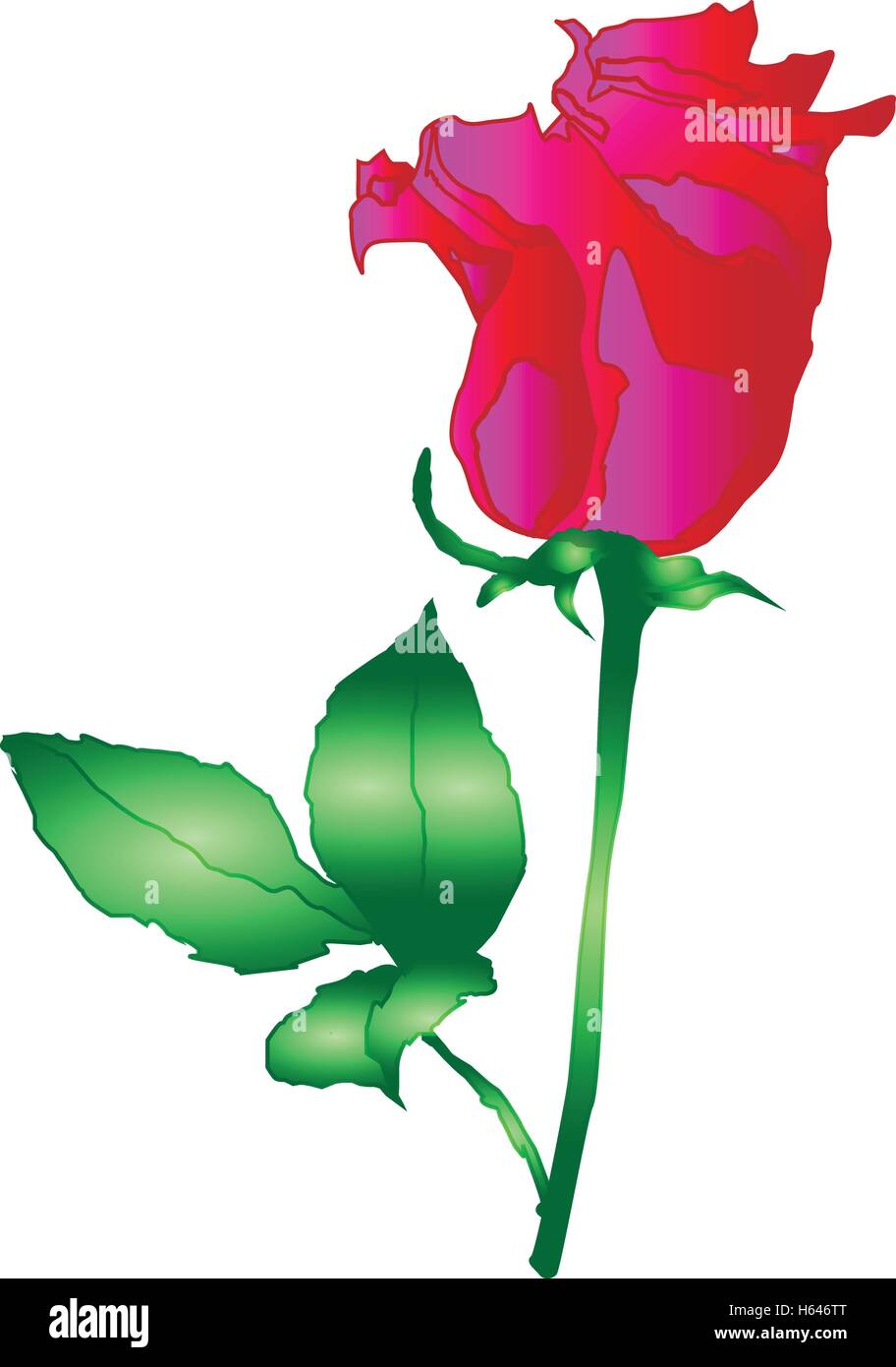Red rose Stock Vector Images - Alamy