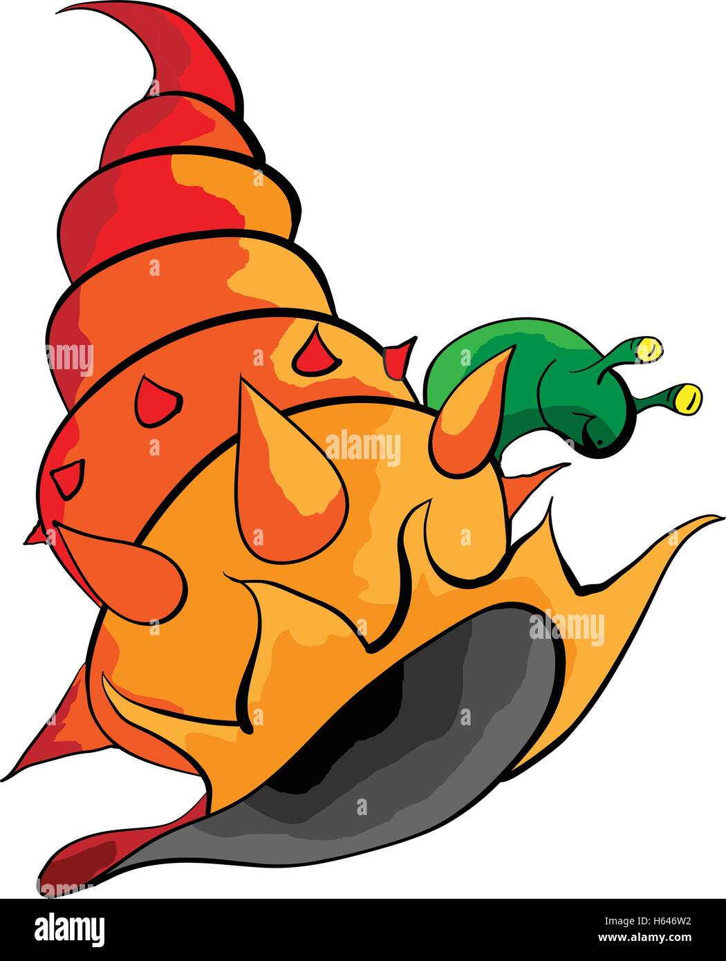 Clear sea shell Stock Vector Images - Alamy