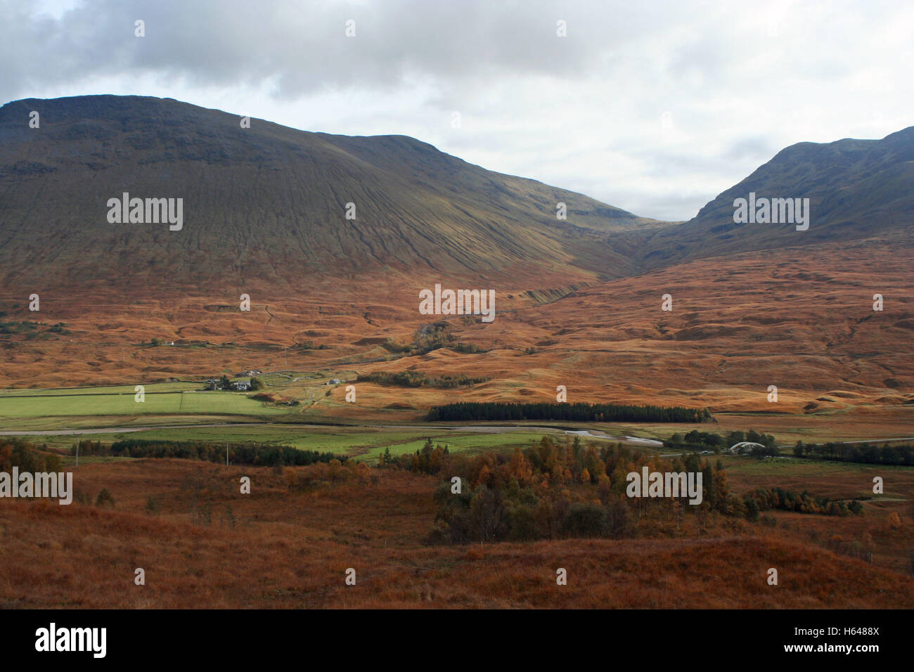 Typical scottish scenery hi-res stock photography and images - Alamy