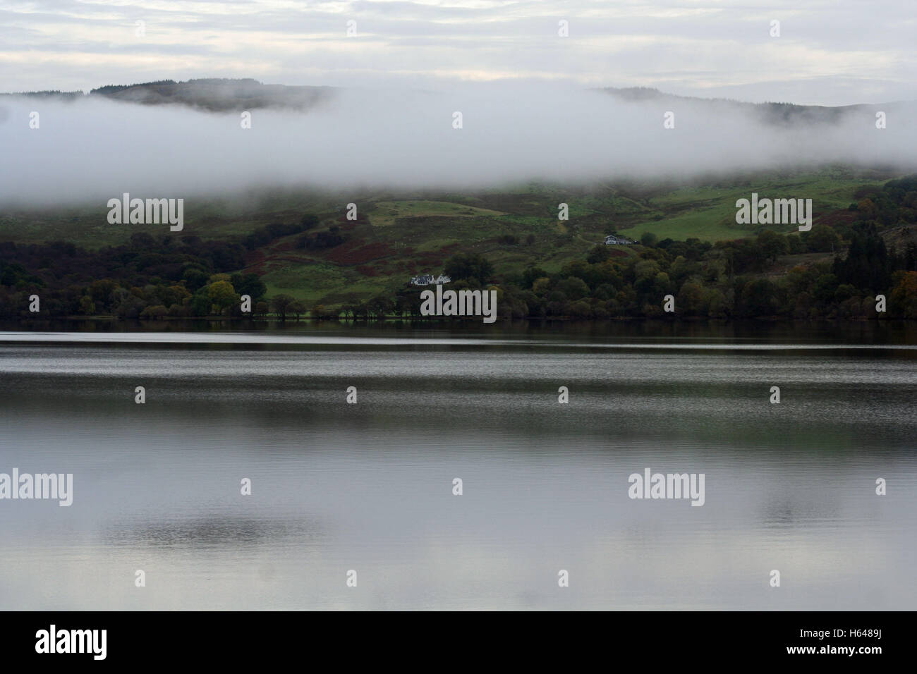 Dalavich shoreline Argyll and Bute Stock Photo - Alamy