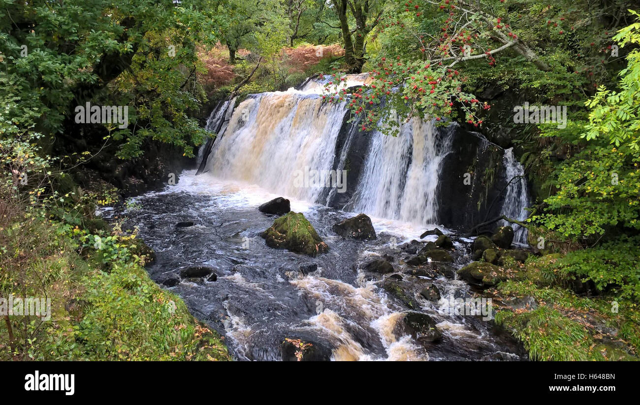 Inverinan glen scotland hi-res stock photography and images - Alamy