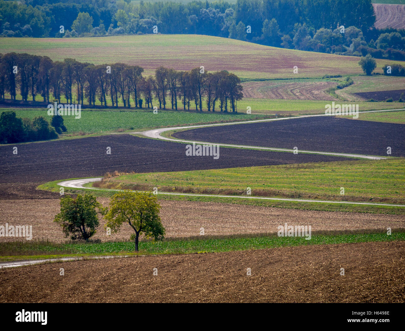 Allier (03) Route dans un paysage agricole // France. Allier (03) Road ...